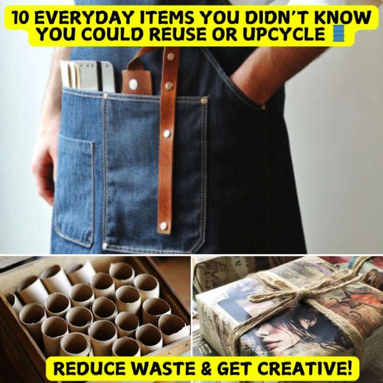 10 Everyday Items You Didn’t Know You Could Reuse or Upcycle
