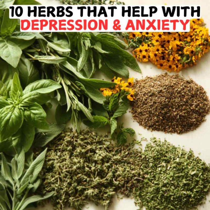 Herbs That Help With Depression & Anxiety