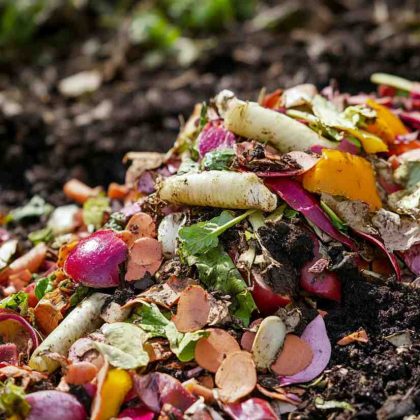 Composting Mistakes to Avoid: Why Your Bin Smells (And How to Fix It!)