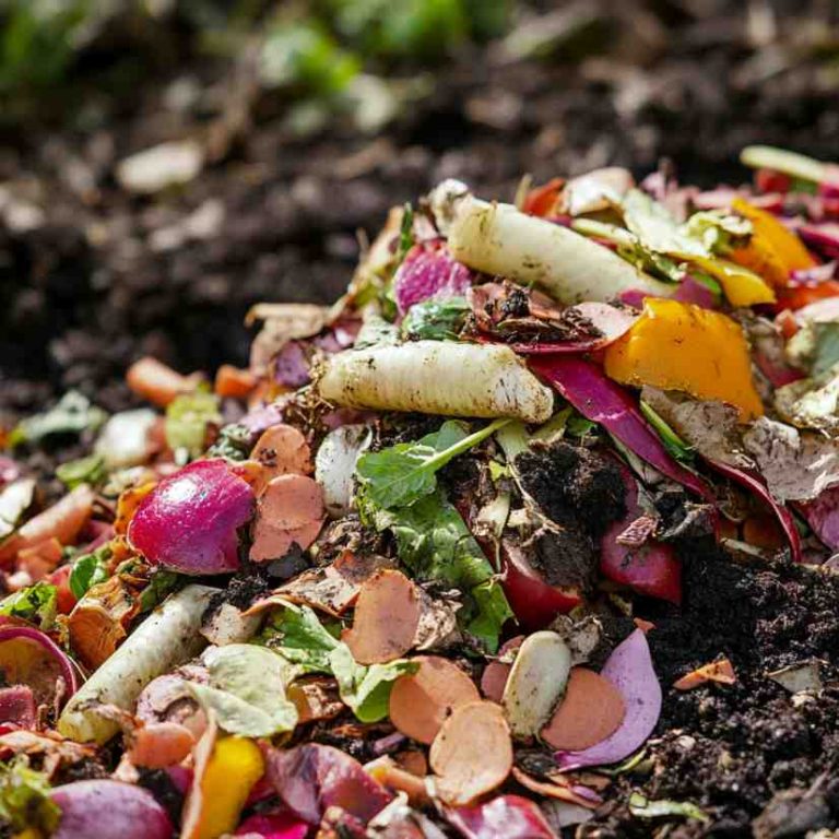 Composting Mistakes to Avoid: Why Your Bin Smells (And How to Fix It!)