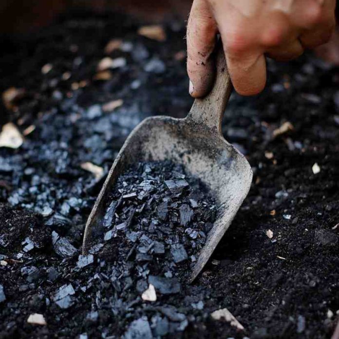 30 Surprising Uses for Wood Ash