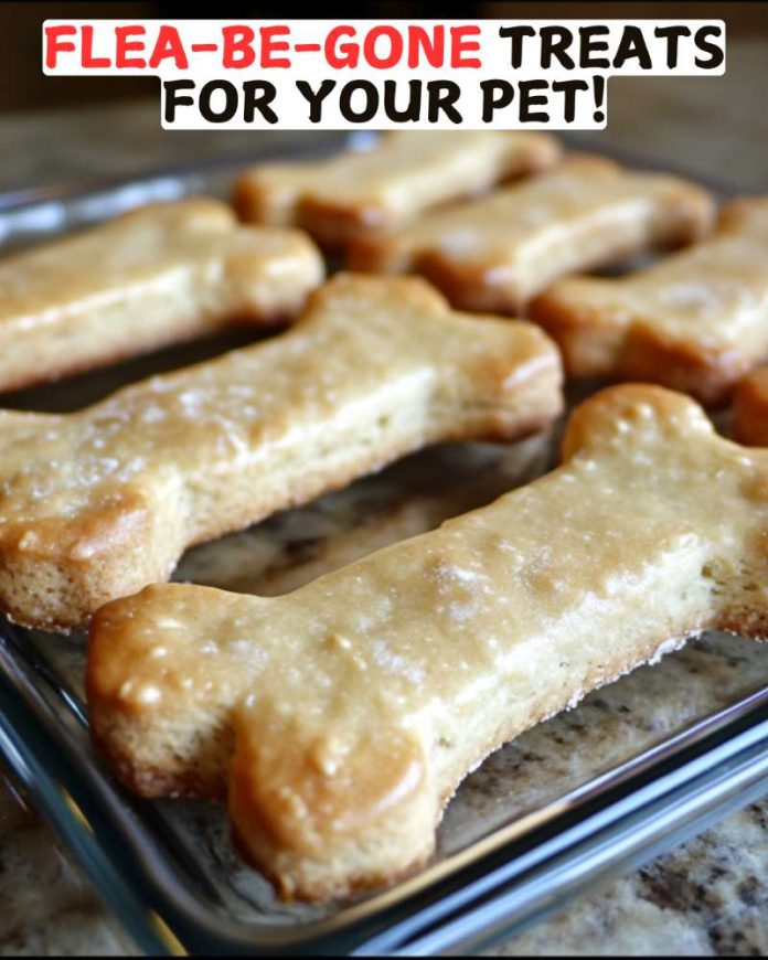 Fleas? Try These Flea-Be-Gone Treats For Your Pet!