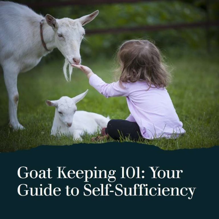 Goat Keeping 101: Your Guide to Self-Sufficiency