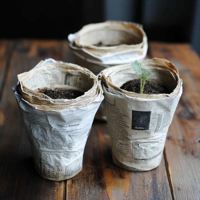 10 Creative Seed Starting Ideas