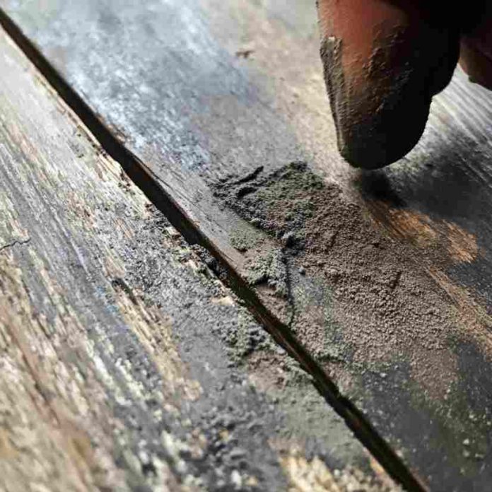 7 Ways To Silence Your Squeaky Floor